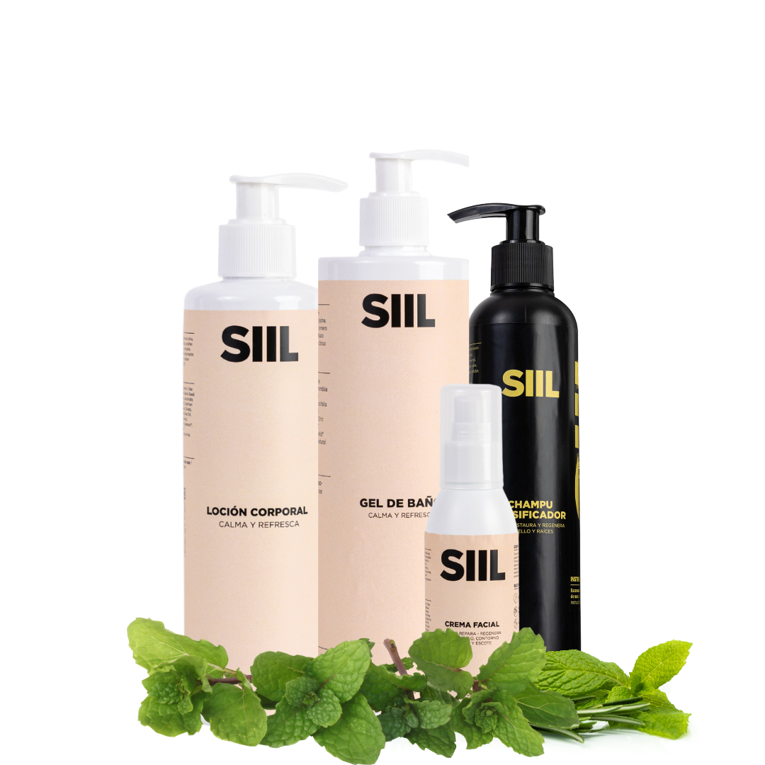 Pack [Baño Completo] Gel, Loción corporal, Crema facial, Champú ...